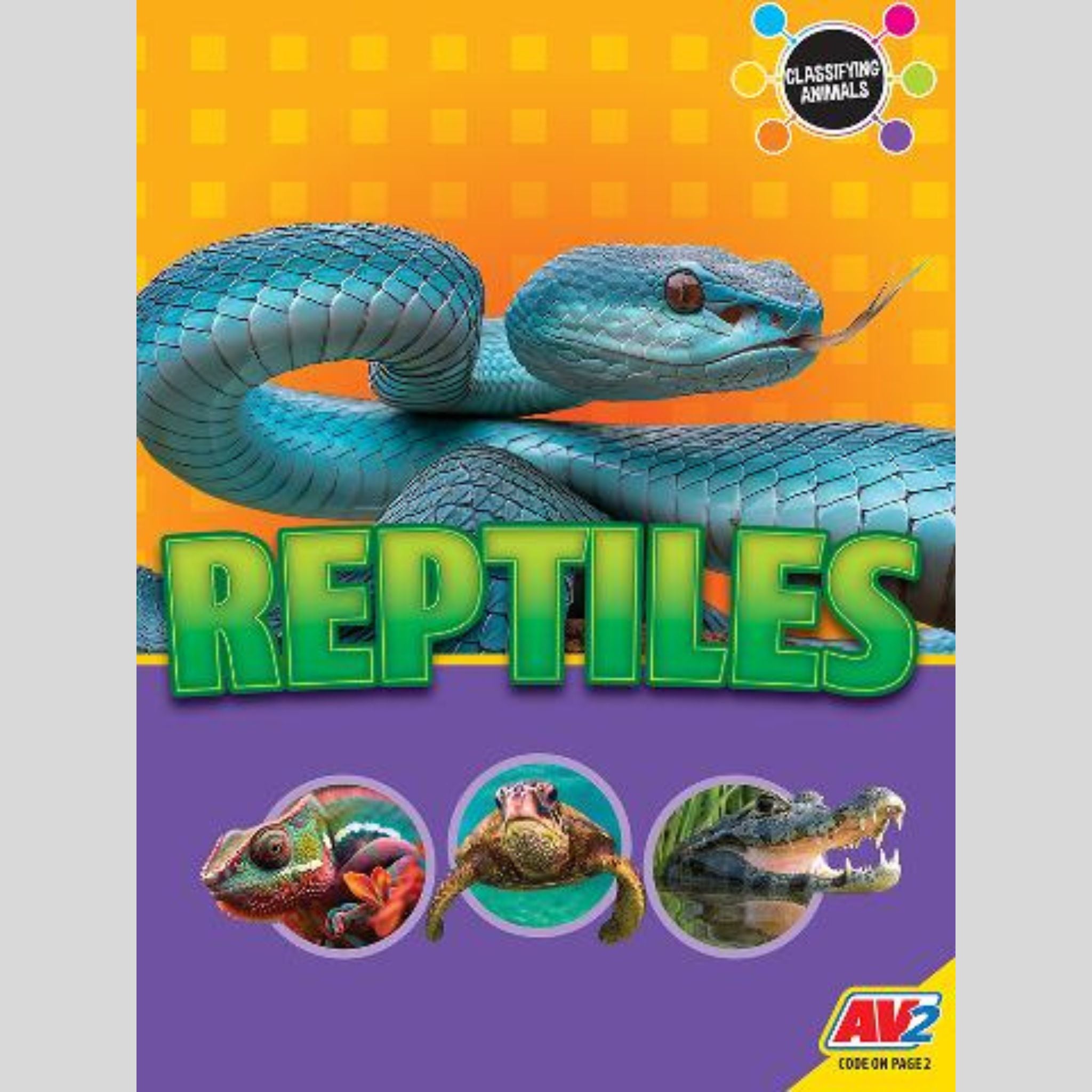 Classifying Animals: Reptiles – Flight by Paper Bird