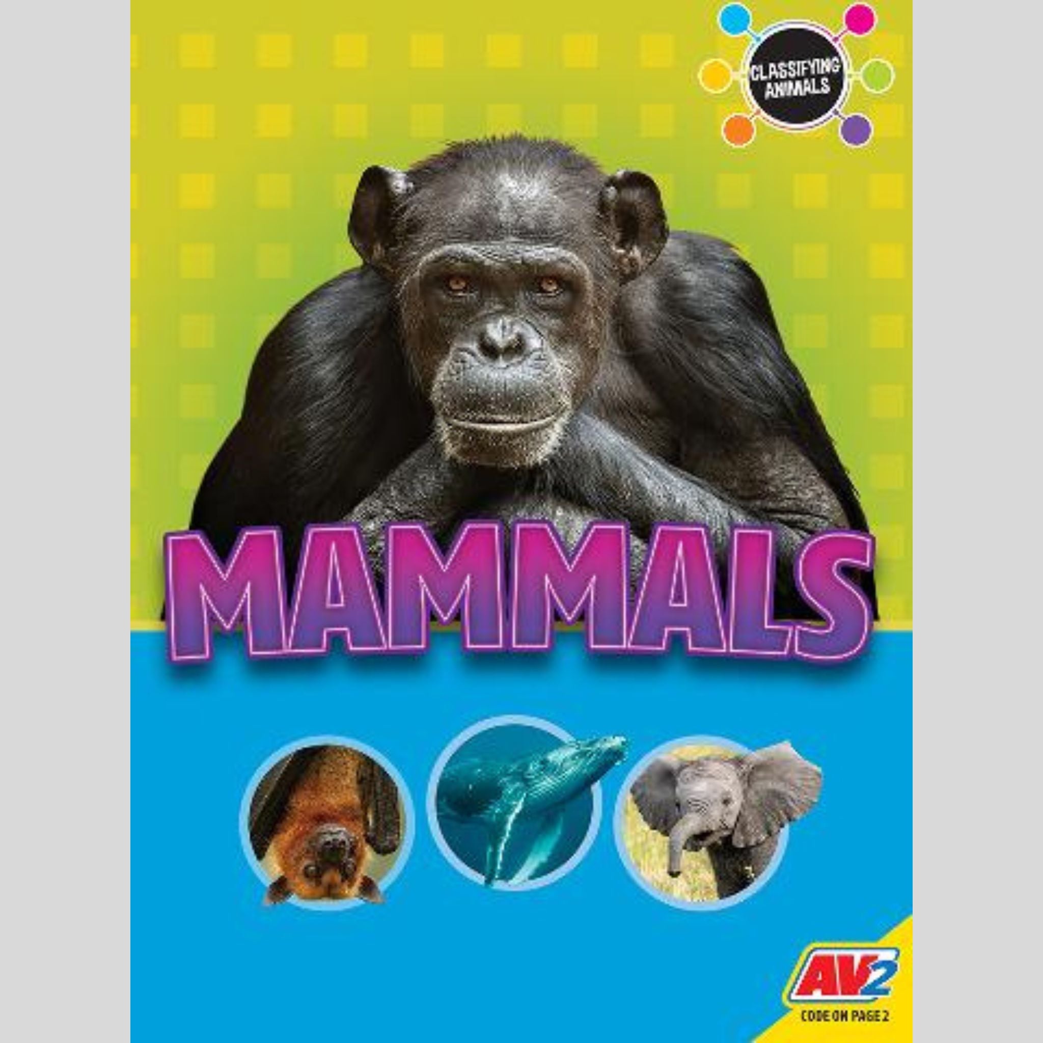 Classifying Animals: Mammals – Flight by Paper Bird