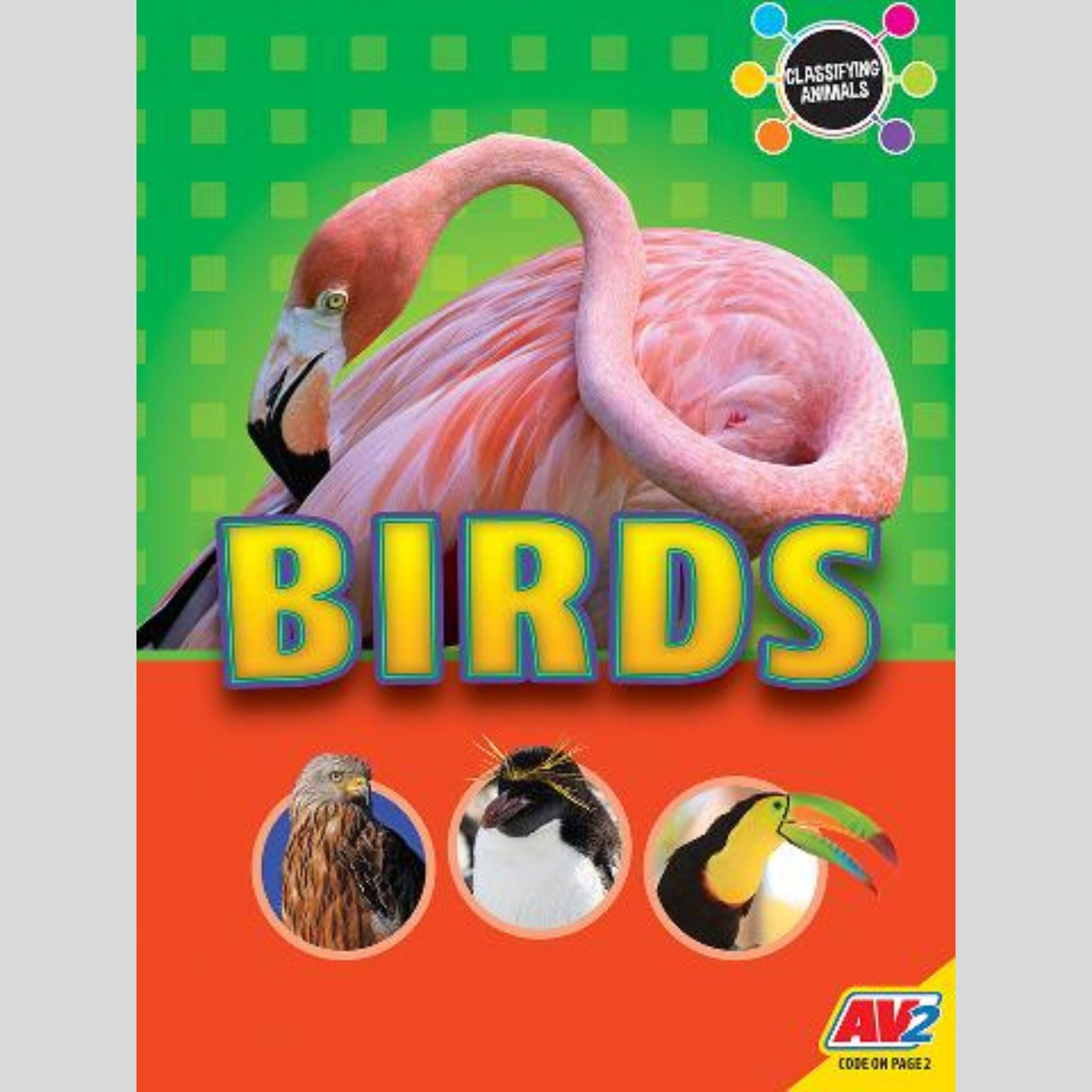 Classifying Animals: Birds – Flight by Paper Bird