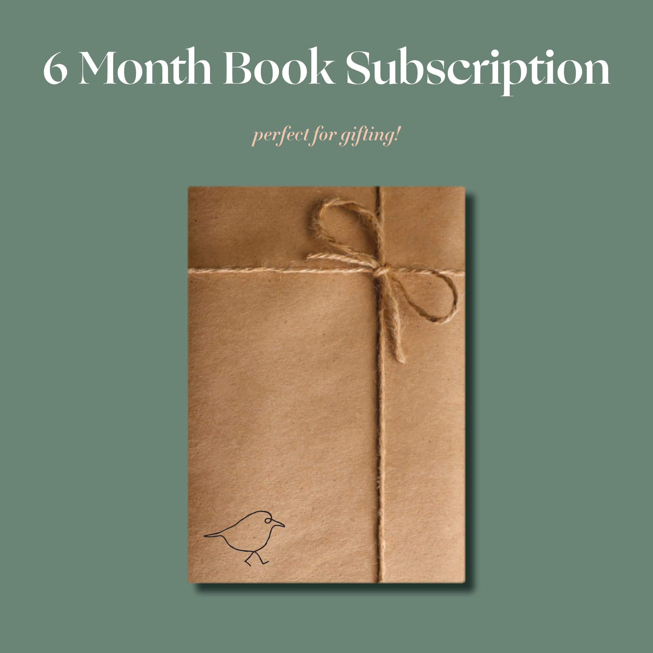 6-Month Paper Bird Book Subscription – Flight by Paper Bird