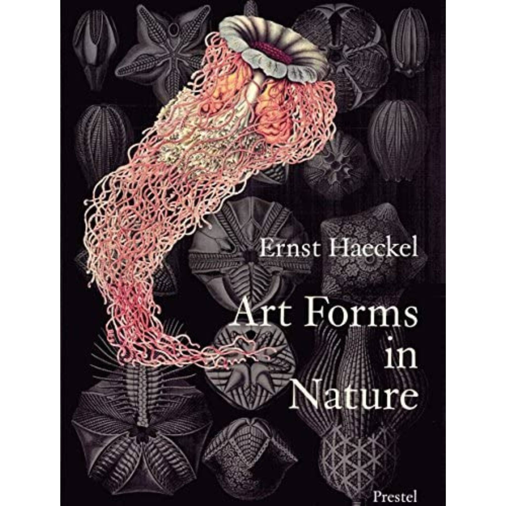 Art Forms in Nature: The Prints of Ernst Haeckel – Flight by Paper Bird