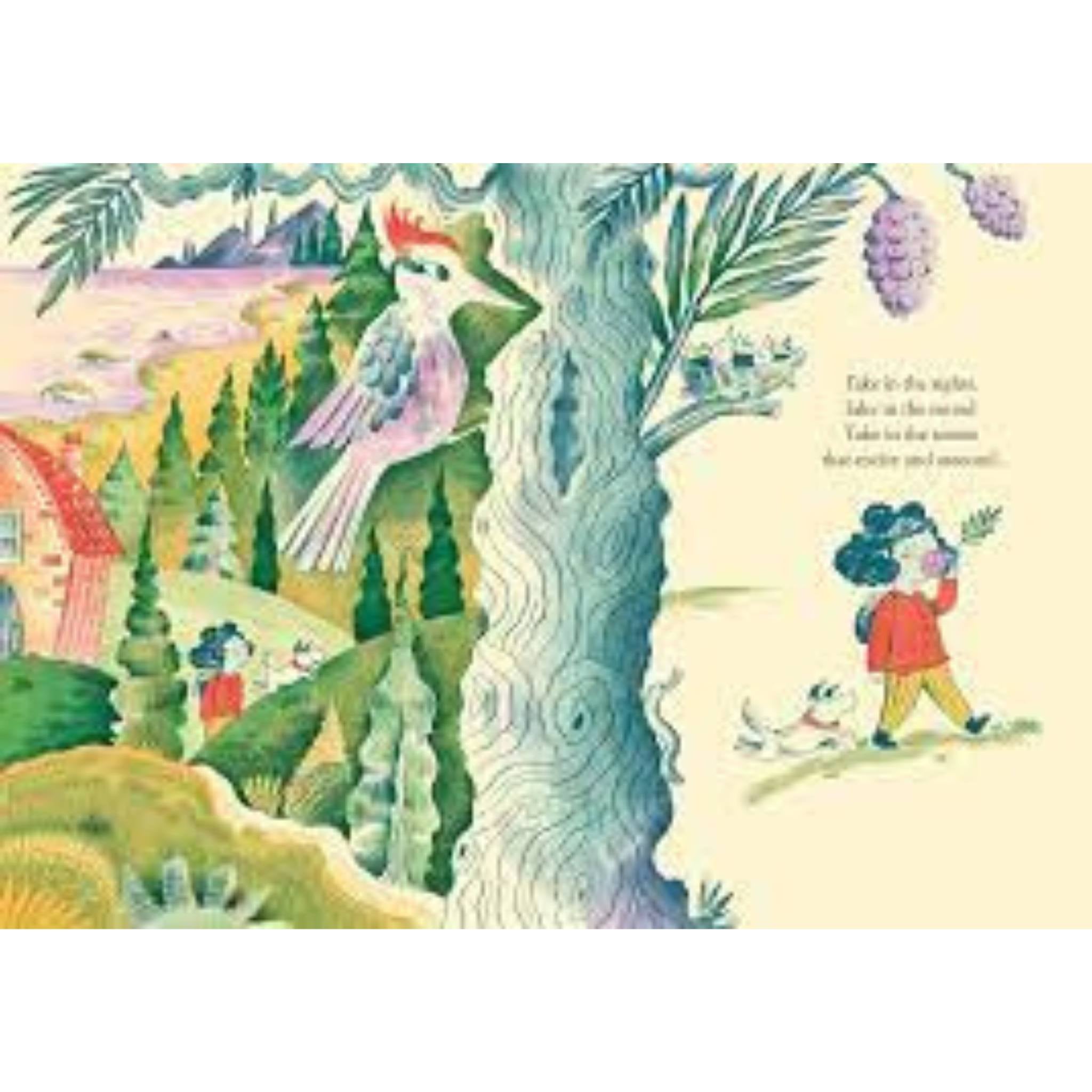 Flight Magazine – Flight by Paper Bird