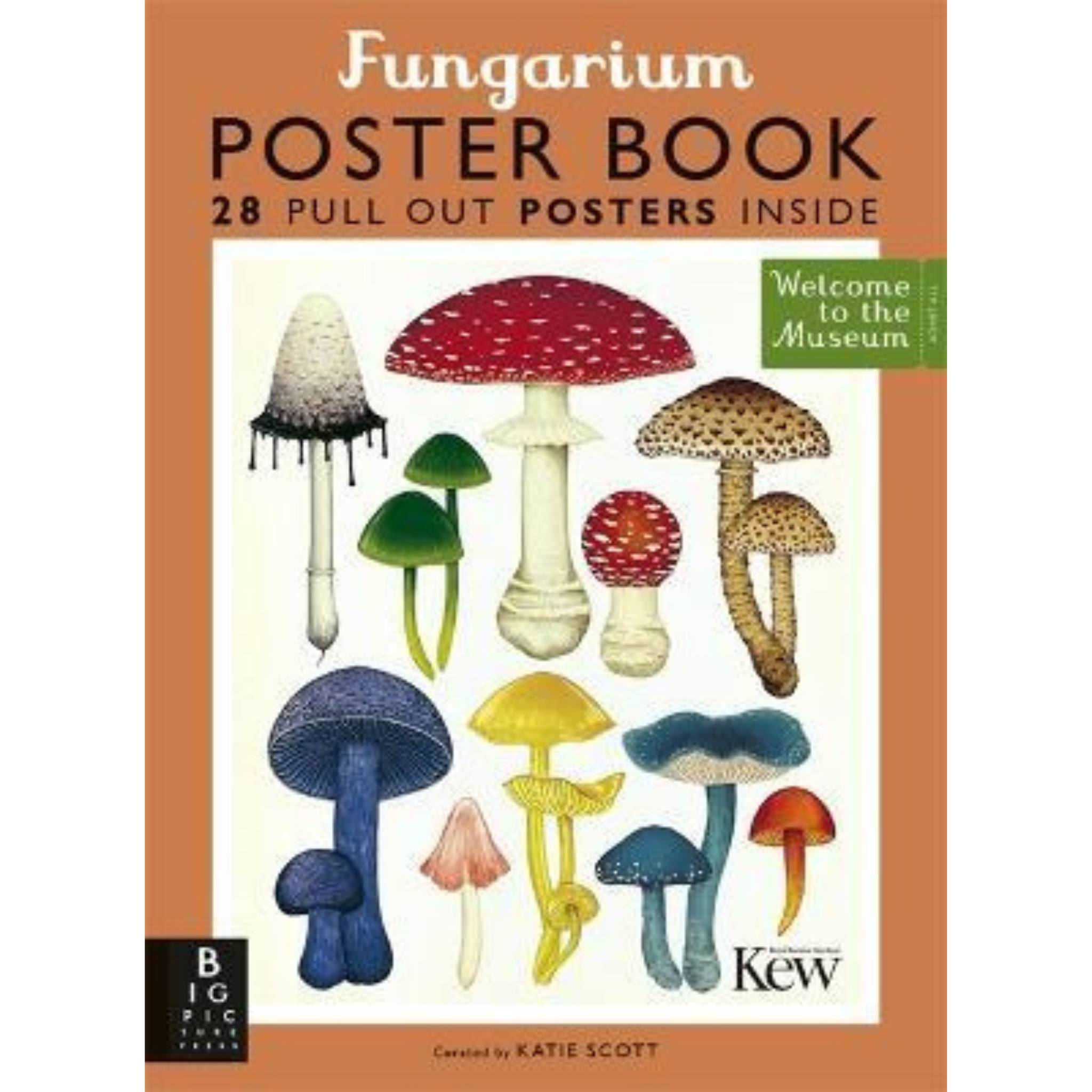 Fungarium Poster Book – Flight by Paper Bird